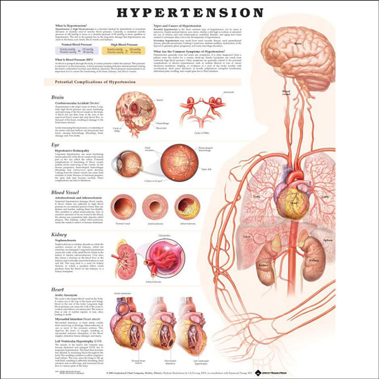 UH Moment: ‘High Blood Pressure’ – Houston Public Media