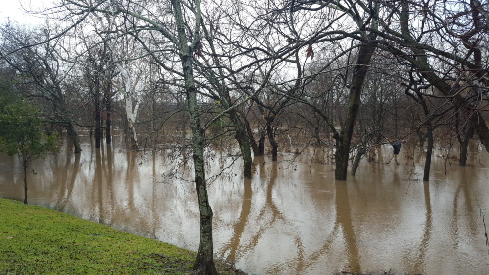 High Water Locations Reported Across Houston, Flash Flood Warning ...