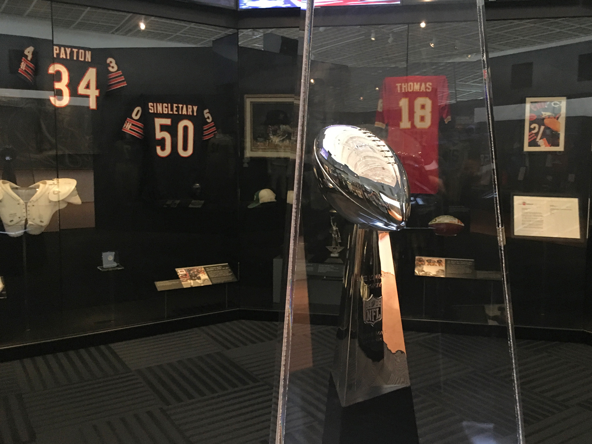 ‘Gridiron Glory’ Offers a Sample of the Pro Football Hall of Fame ...