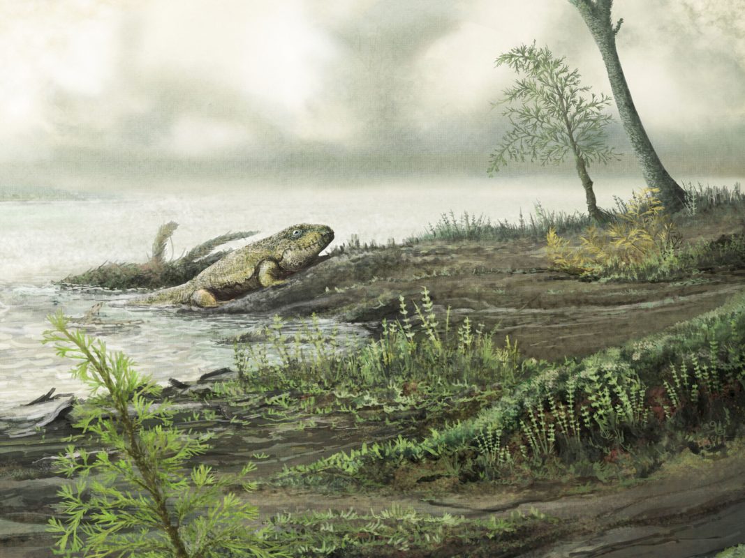 Superbugs ‘Crawled Out’ Of The Ocean 450 Million Years Ago – Houston ...