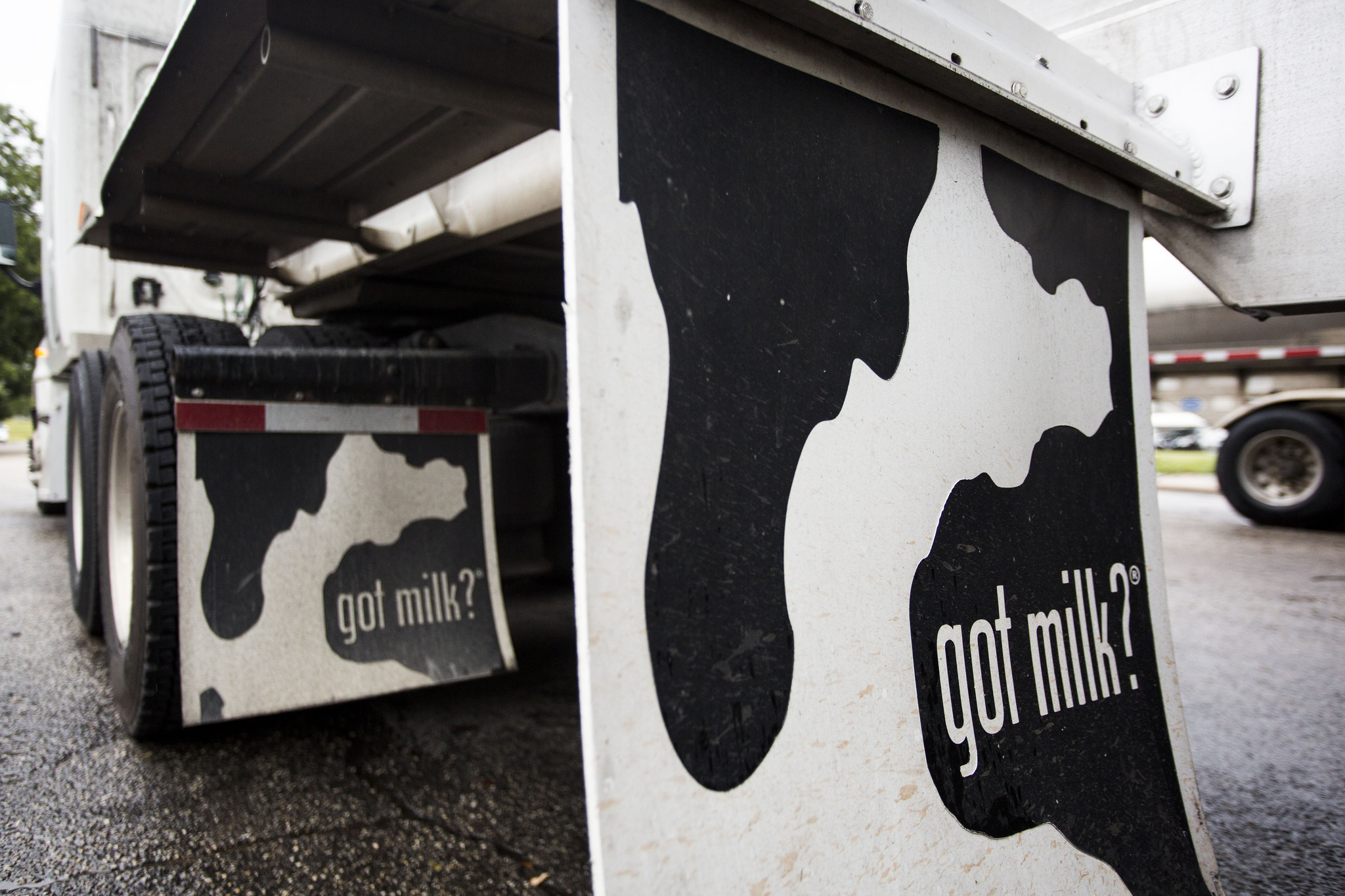 Austin’s ‘Milk People’ Express Concern Over Trump’s Immigration ...