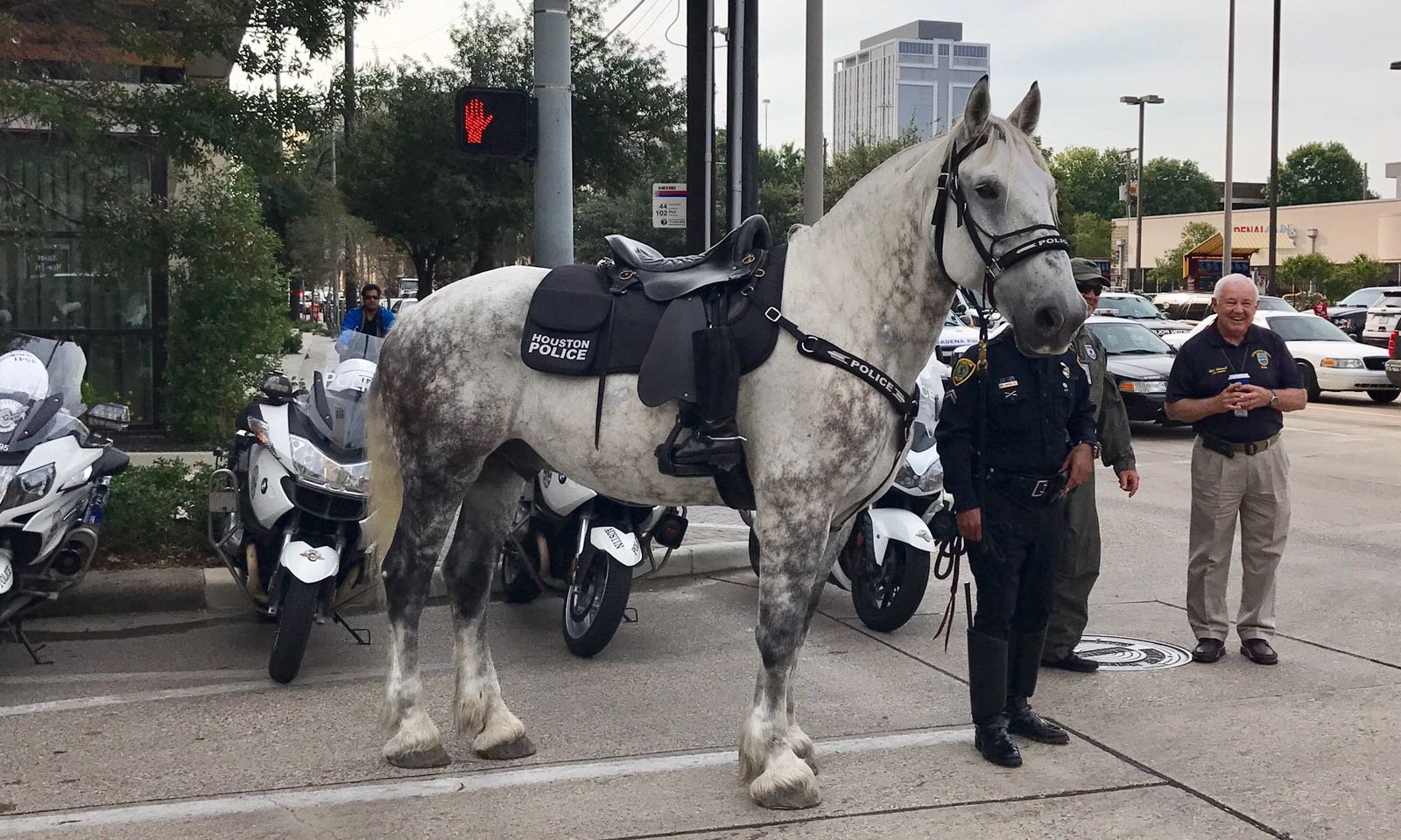Police Officers From All Over Texas Say Goodbye to HPD’s Sergeant Perez ...