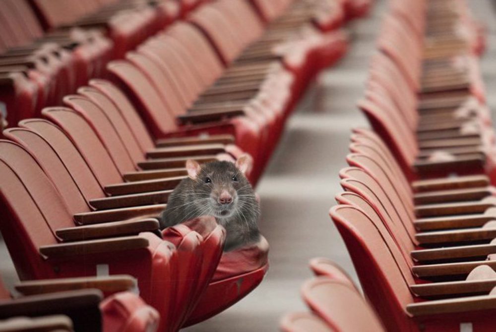 What State Government Can Learn From College Football – Houston Public ...