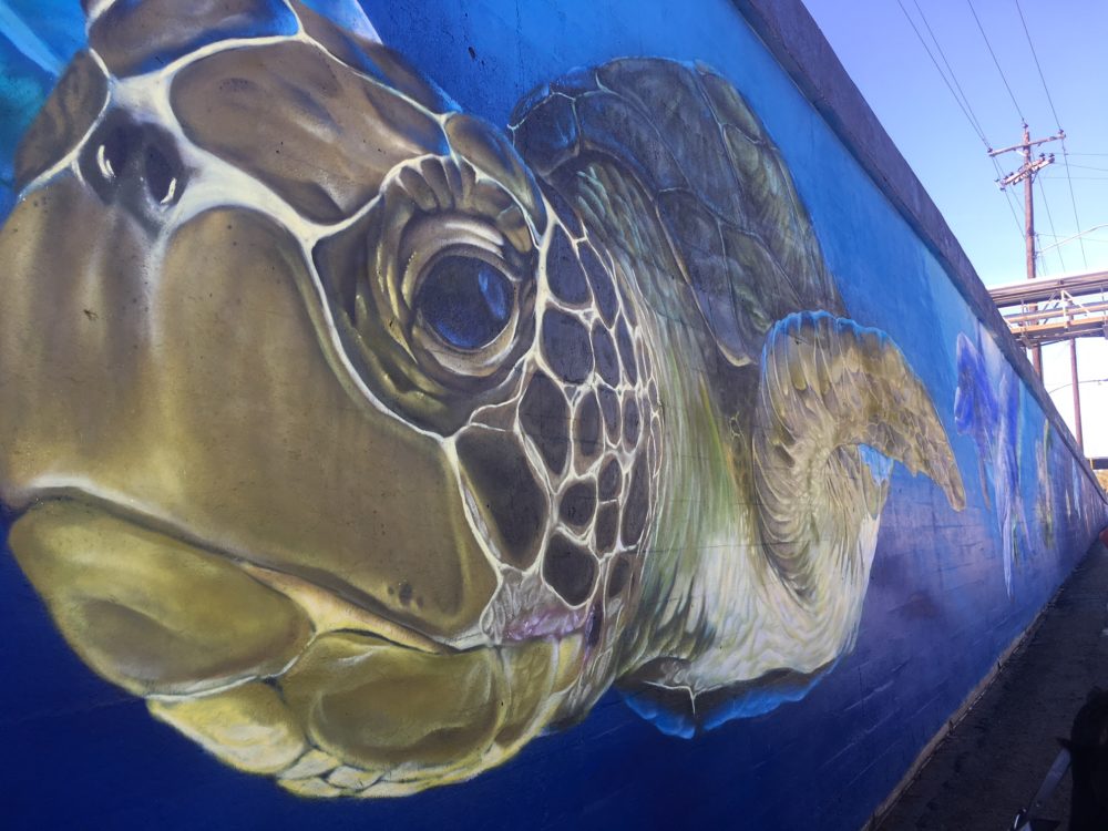 WATCH: Massive Mural Of Underwater Sea Life Pops Up In The East End ...