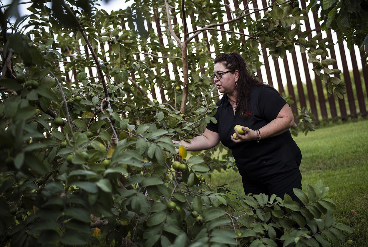 The Border Fence Looms Over These Texans. Should The Government Pay ...