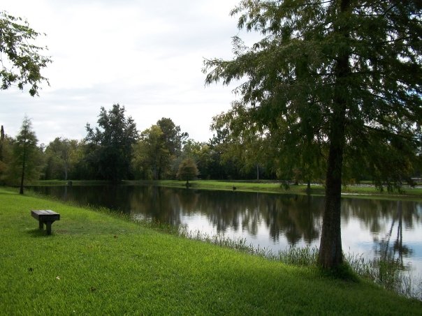 Texas State Parks Are Once Again Hosting ‘First Day Hikes’ – Houston ...