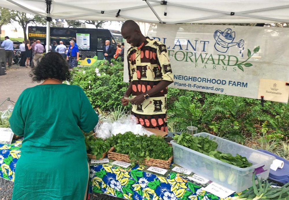 Farmers Markets Highlight Houston’s Local Food Growers And Products ...