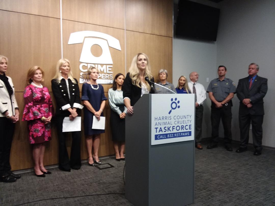 Animal Abuse Task Force Gets Hundreds of Reports in First Months of ...