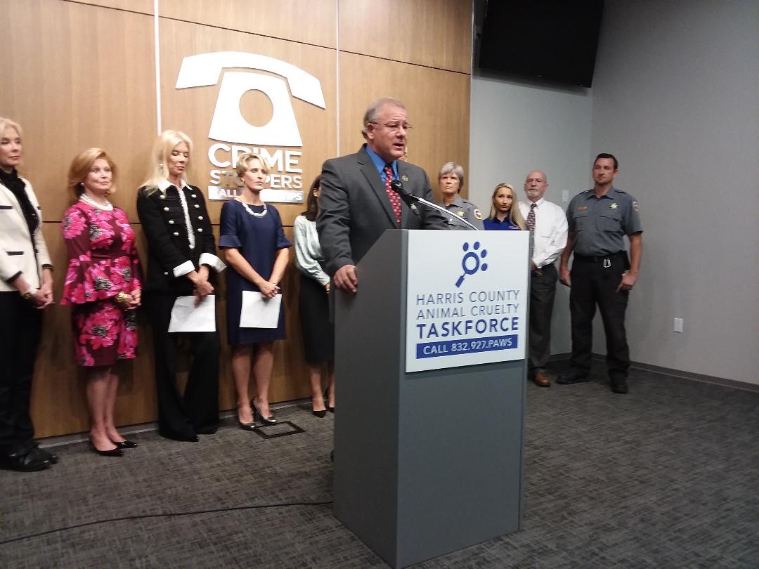 Animal Abuse Task Force Gets Hundreds of Reports in First Months of ...