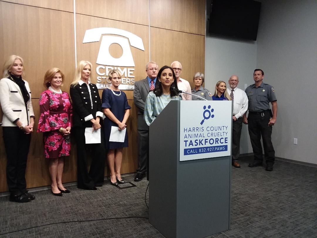 Animal Abuse Task Force Gets Hundreds of Reports in First Months of ...