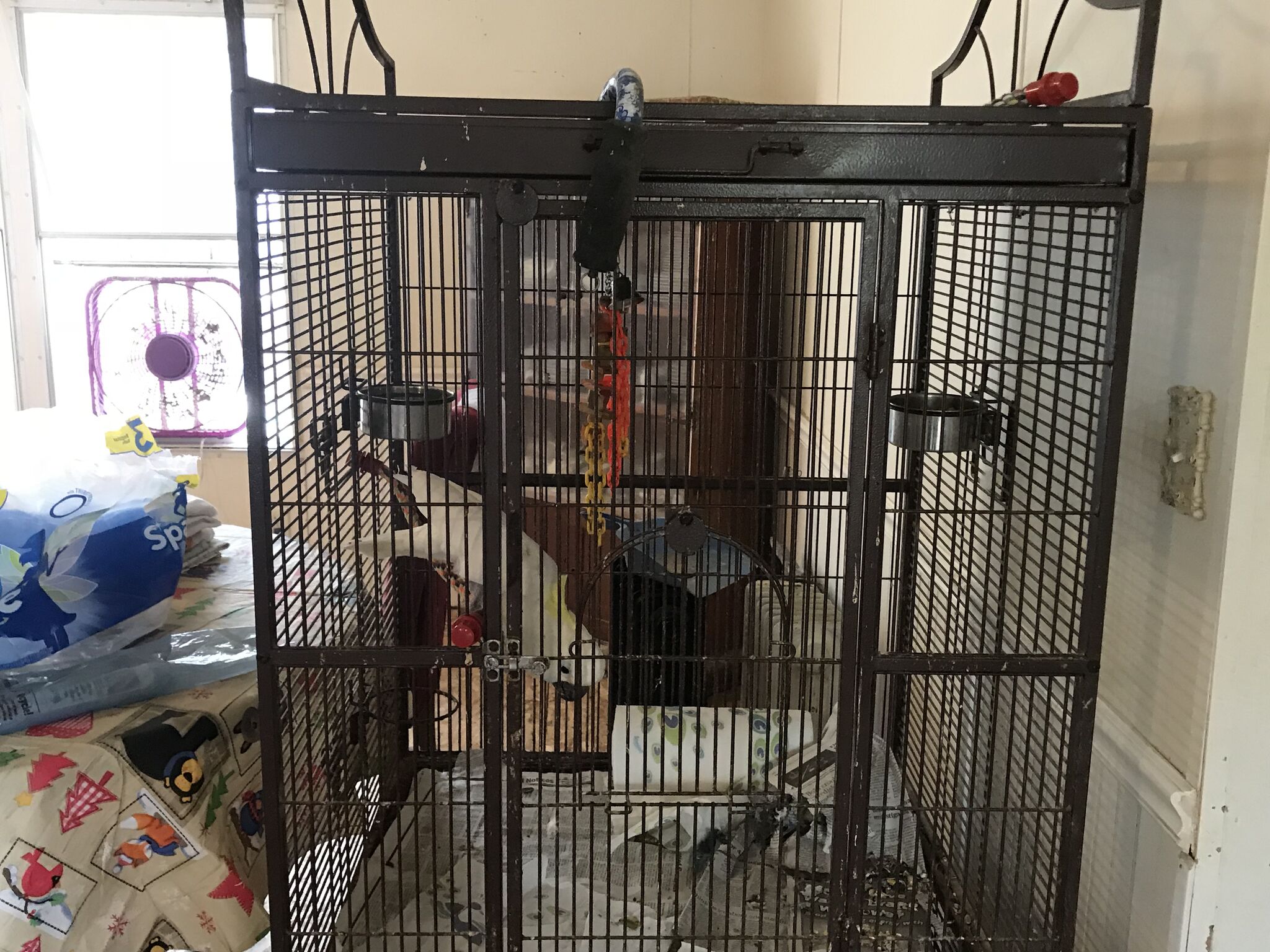 Magnolia Resident Surrenders More than 100 Birds to Houston SPCA ...