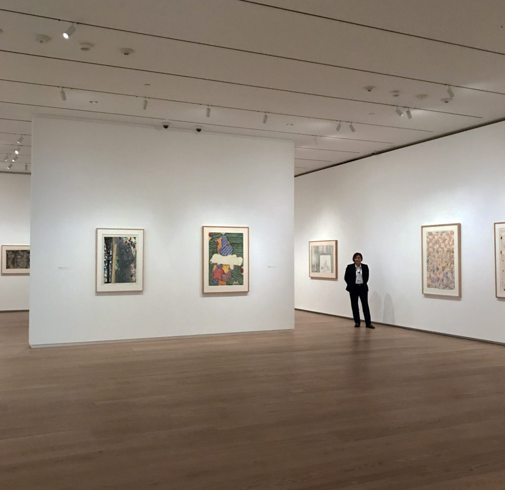 Sneak Peek: Menil Drawing Institute Opens This Weekend – Houston Public ...