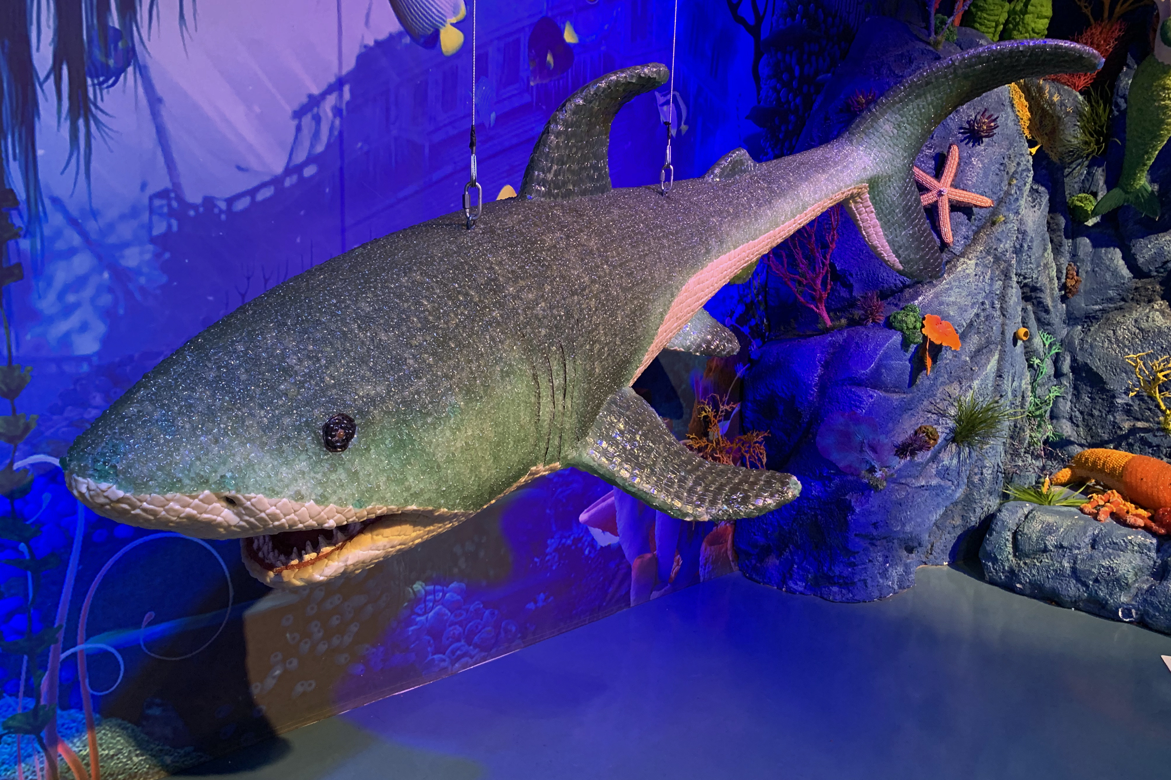 Candytopia Offers A Taste Of Willy Wonka’s Wonderland – Houston Public ...