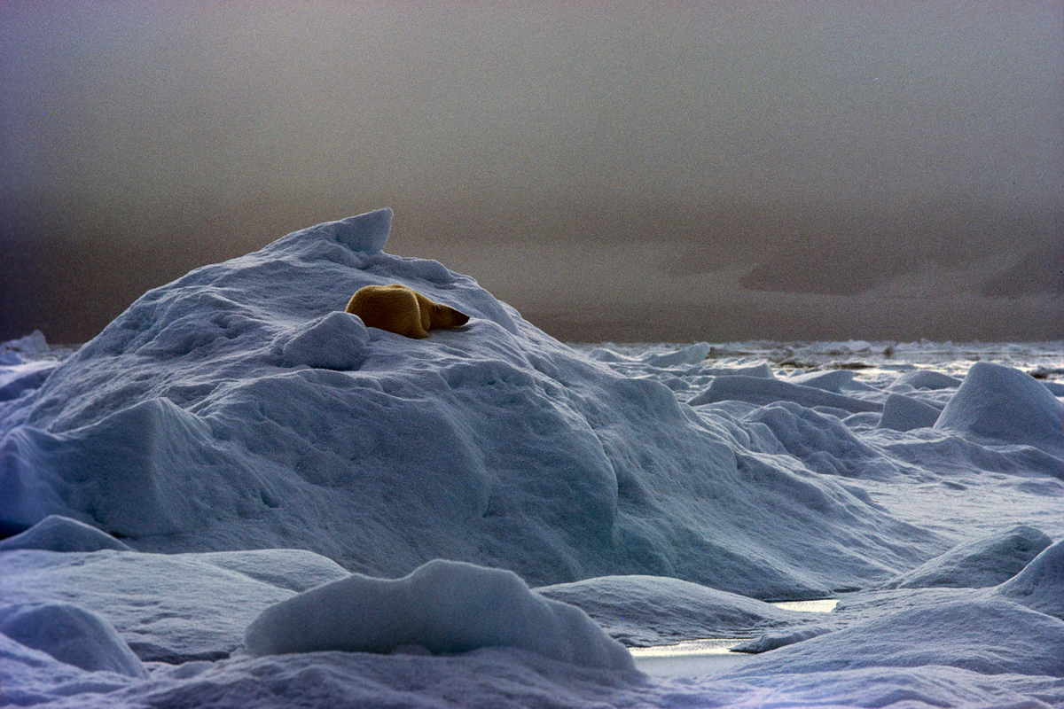 How A Chance Encounter With Picasso Turned Into A Career In Photography ...