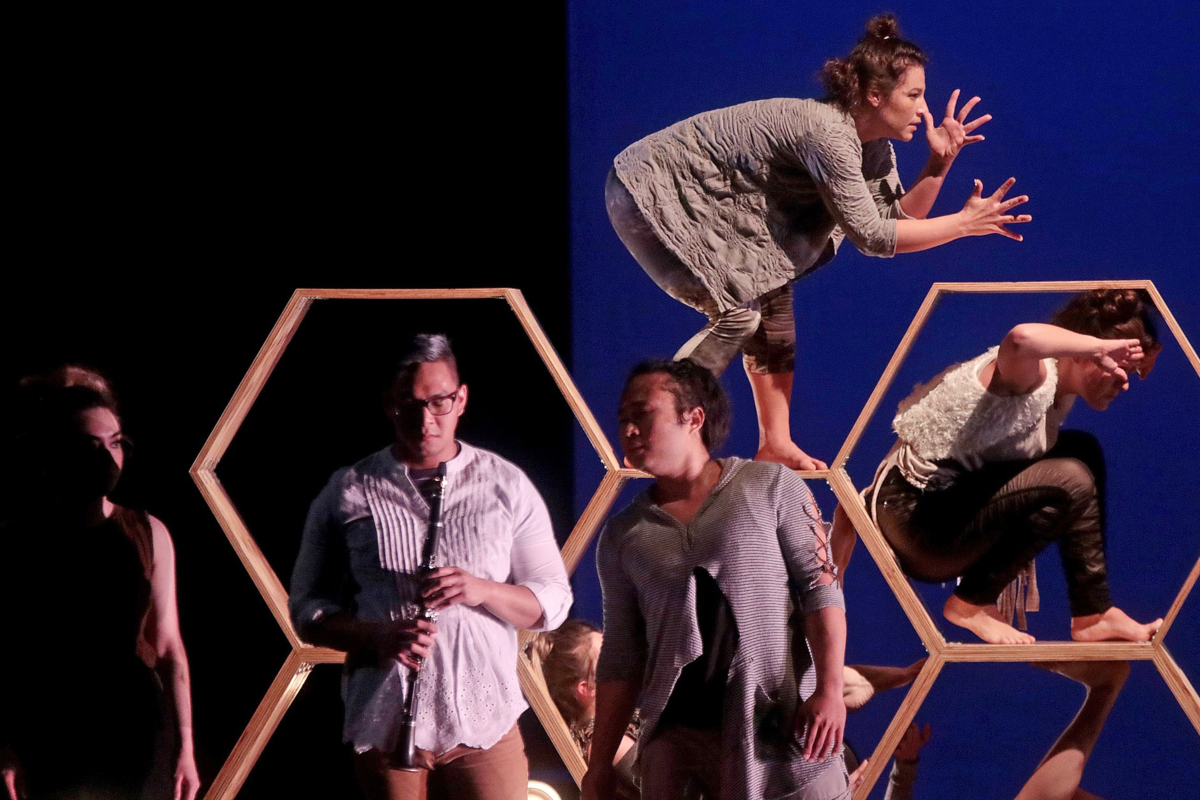 Bees Communicate Through Dance, So Houston Dancers Communicate About ...