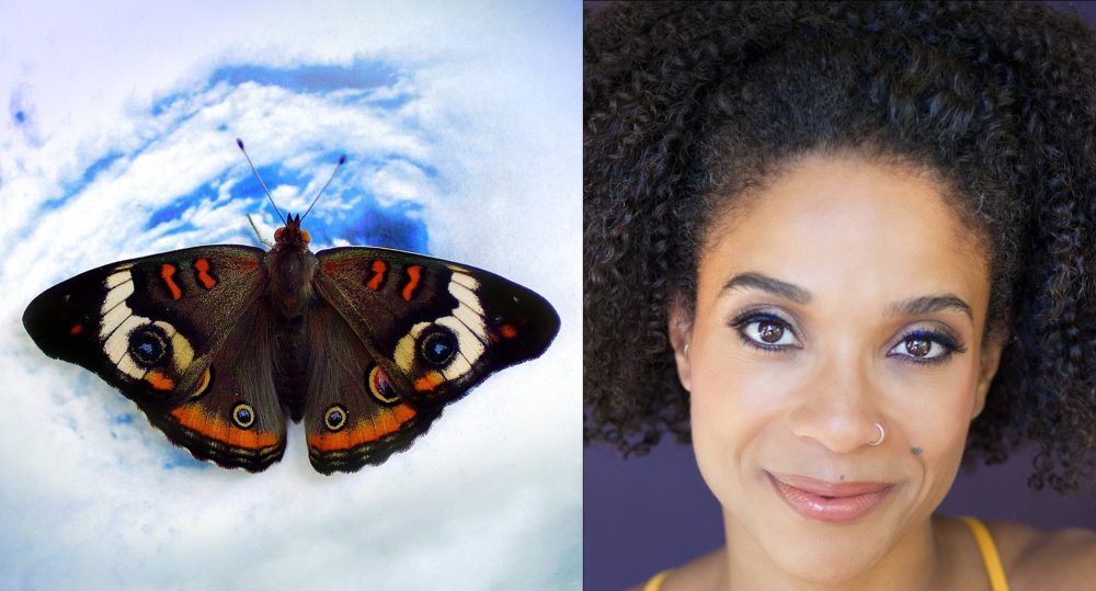 “Sky Loop” Heals Memories of Hurricane Harvey, And American Idol’s ...