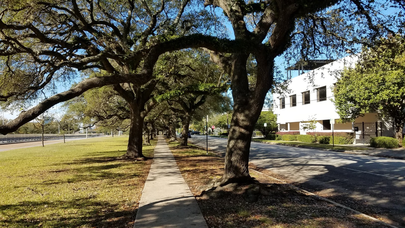 Popular Neighborhood Near Downtown Houston Looks To Fix Its Mobility ...