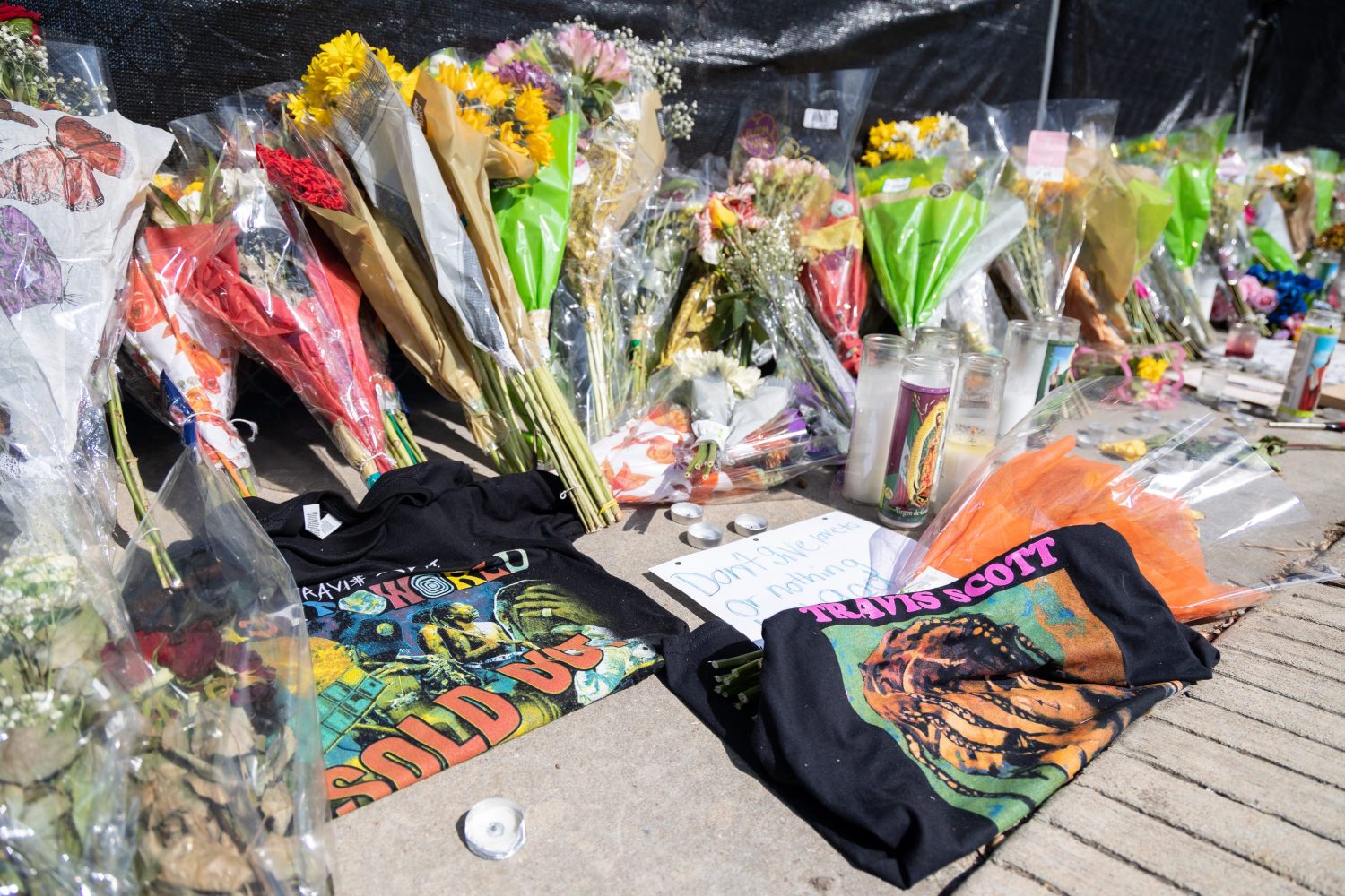 Astroworld’s safety plan failed to account for key crowd issues, expert ...