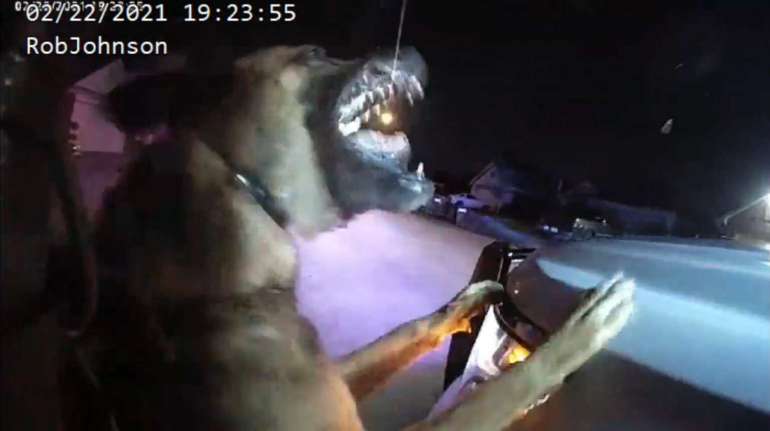 Harris County Constable officers used excessive force in police K-9 ...