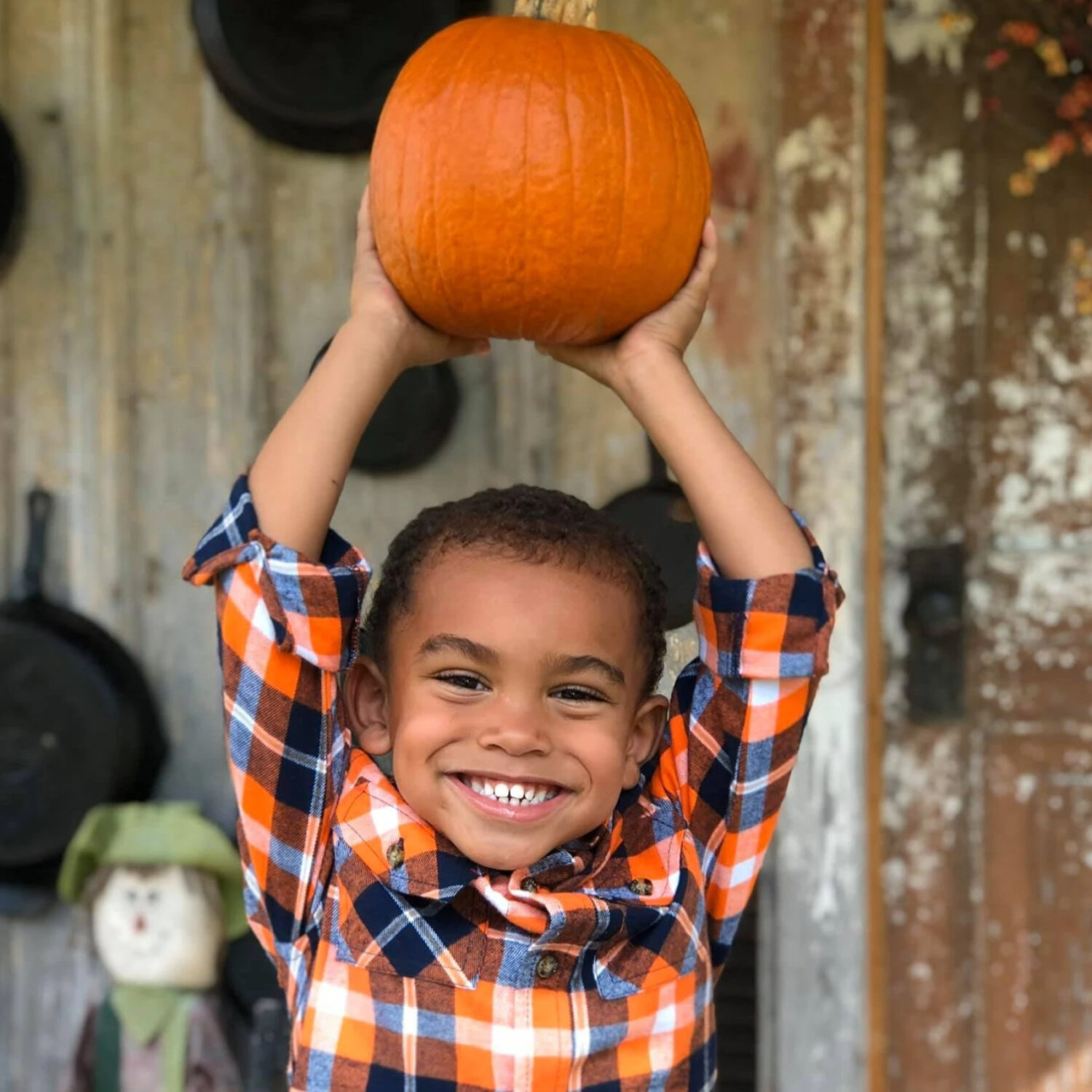 Houston pumpkin patches list: Where to find the best fall fun this ...