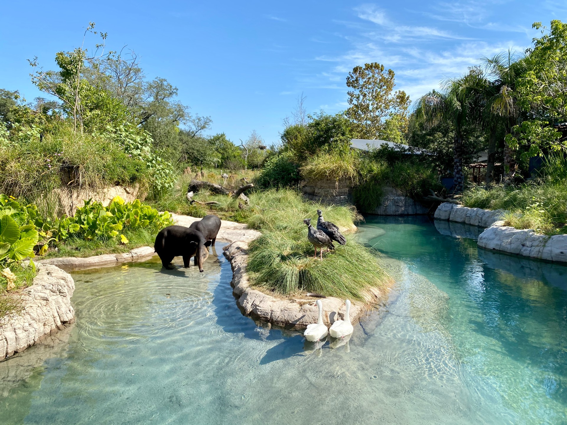 Lake Houston Wilderness Park offers a nearby escape from city life ...