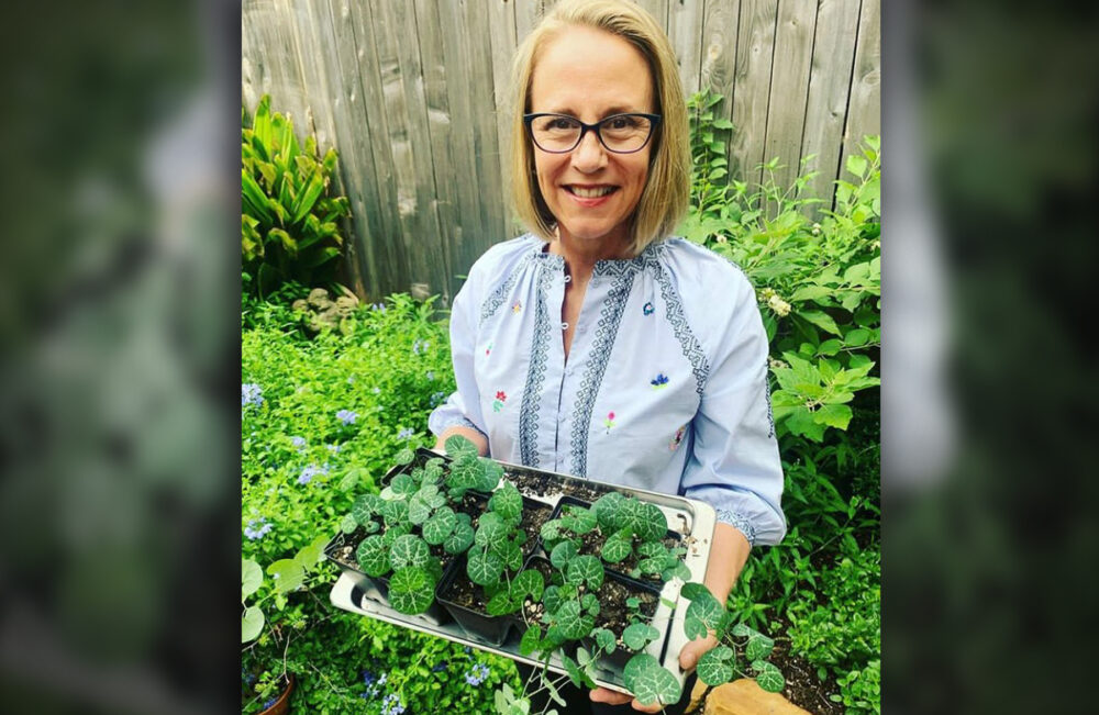 Recent rains have created a ‘mayday’ situation for Houston lawns ...