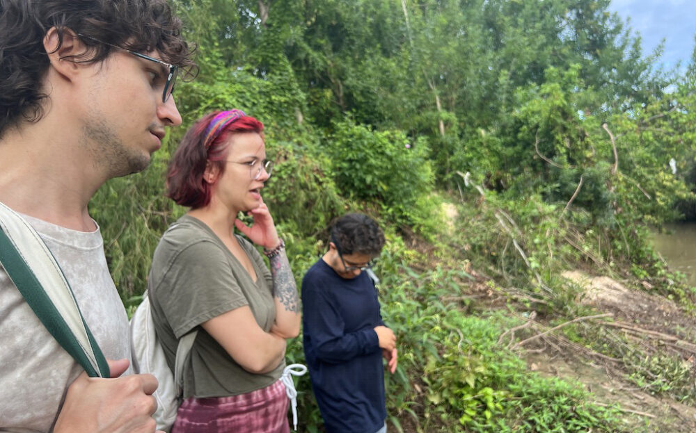 What native plants used to live along Houston’s bayous — and which ...