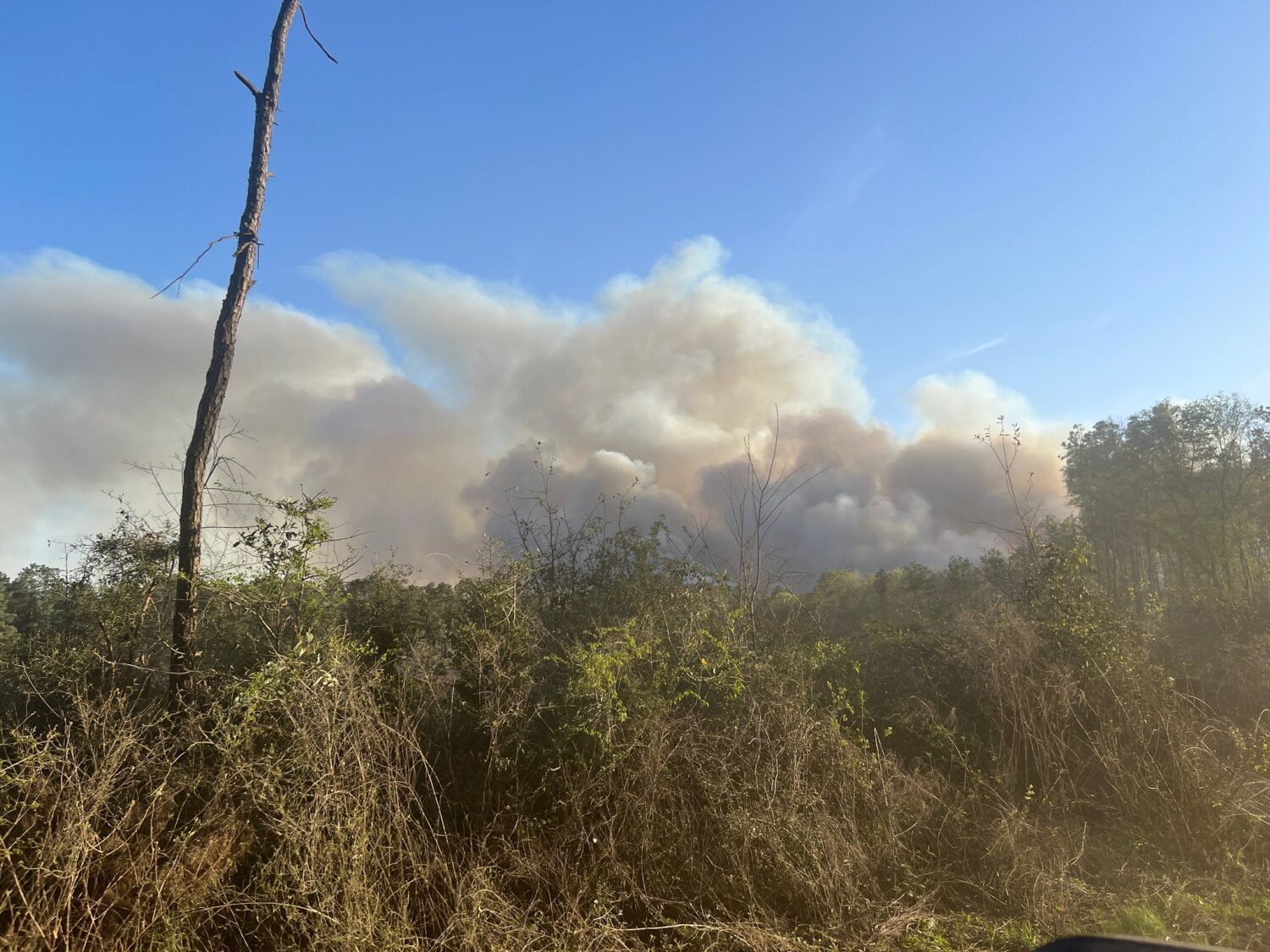 2,000-acre San Jacinto wildfire 20 percent contained Thursday morning ...