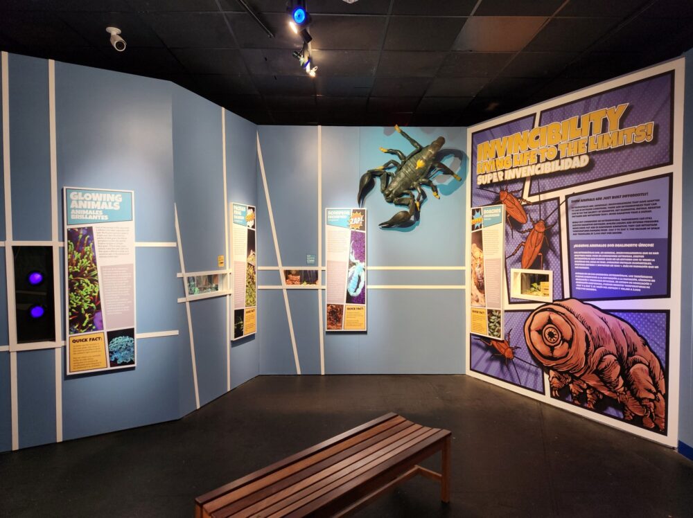 A lot of animals basically have superpowers — a new exhibit celebrates ...