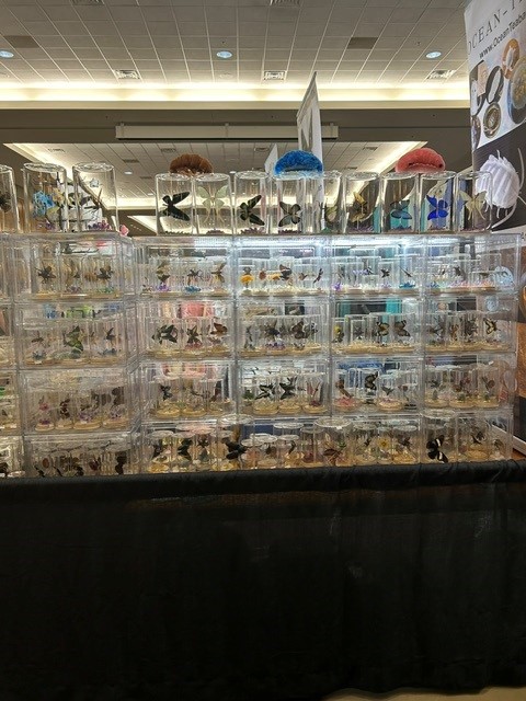 Creepy-cute and Conroe’s own: Inside the world of the KimoKawaii anime ...