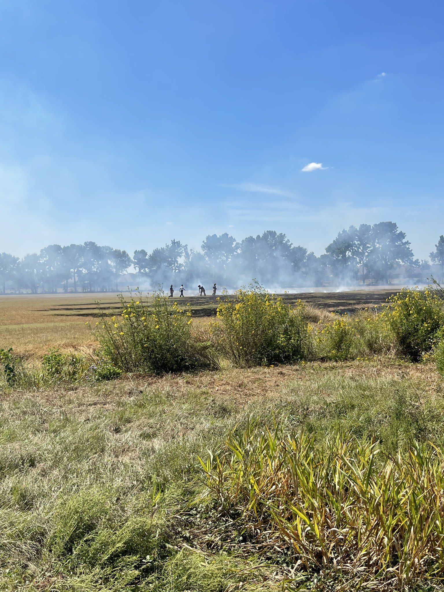 2 killed in fiery plane crash north of Houston – Houston Public Media