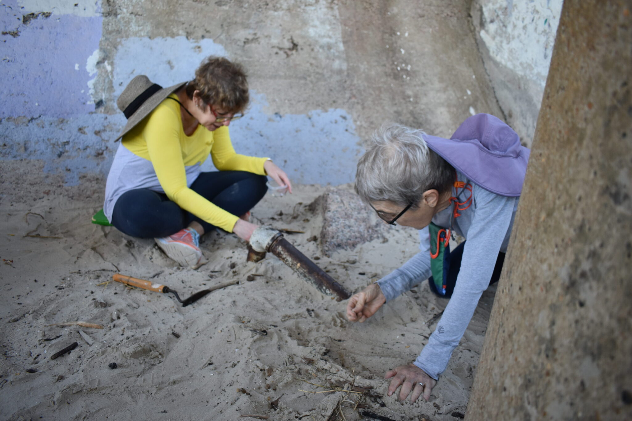 Environmental activists battle nurdles on Galveston shores, calling for ...
