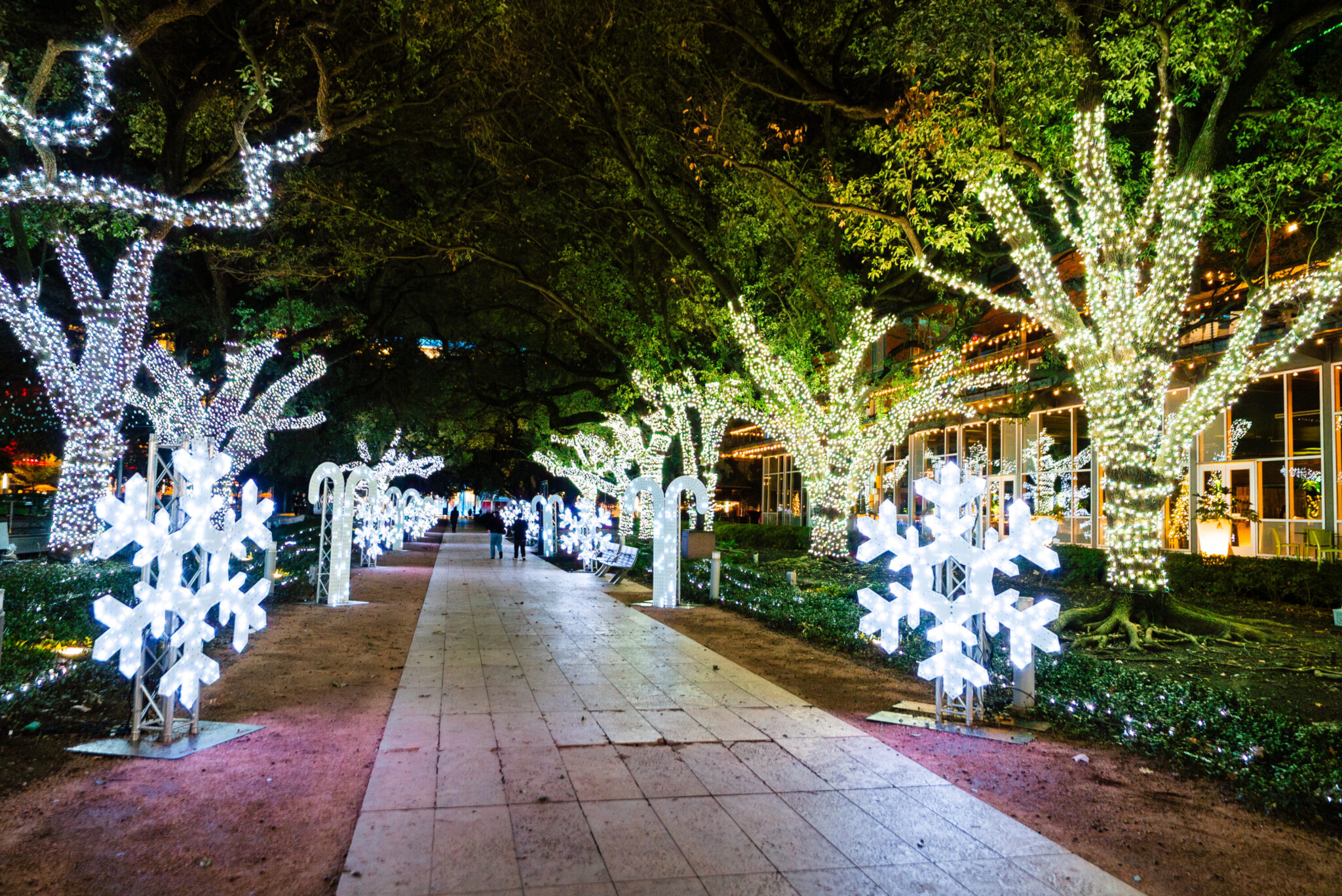 Here are the best places to see holiday lights in Houston in 2025 ...