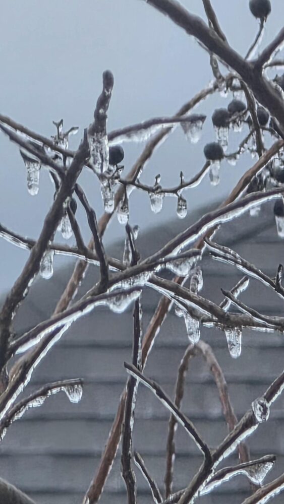 ‘We cannot let our guard down’: Freezing weather hits Houston area ...
