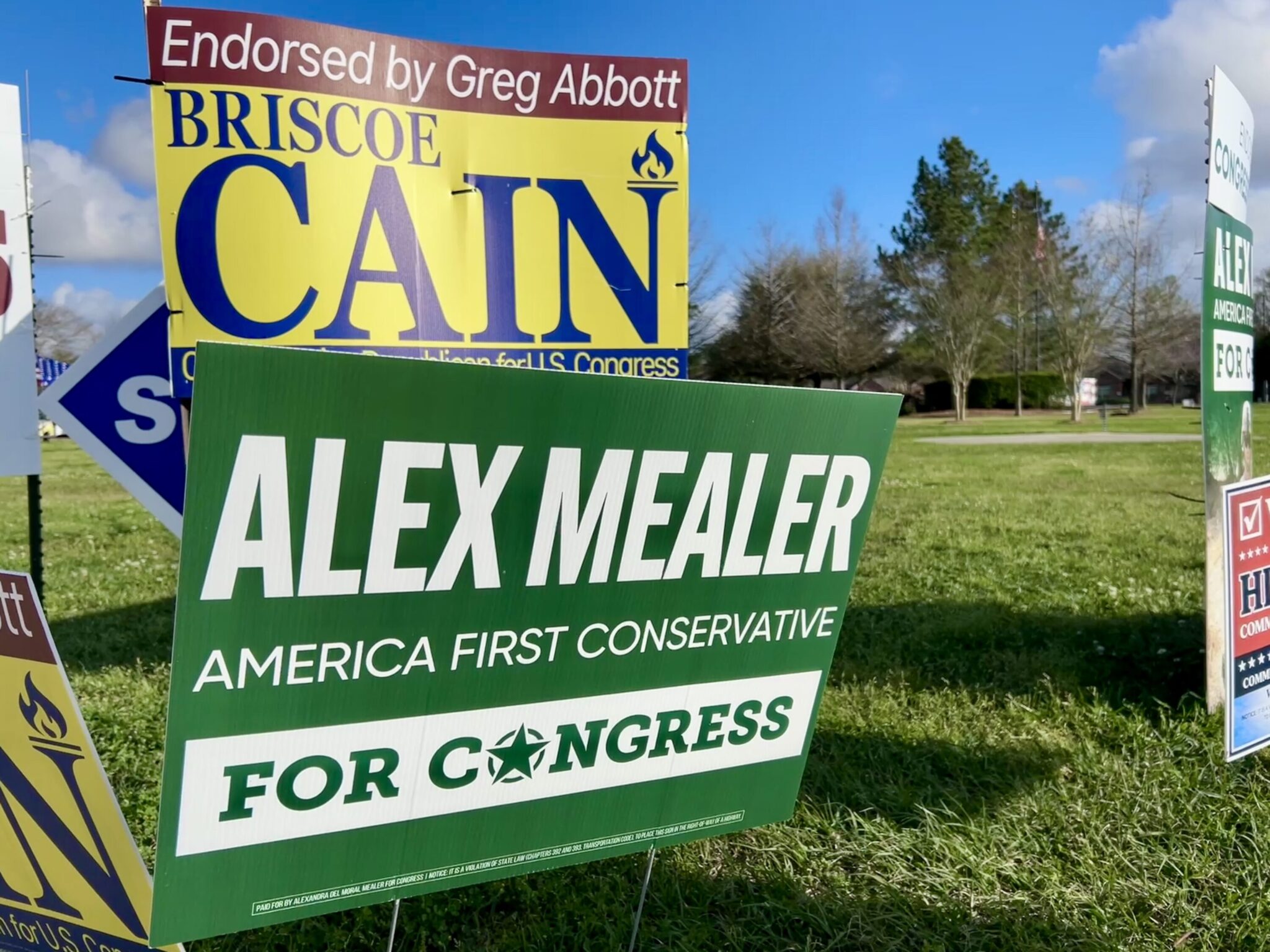 Alex Mealer and Briscoe Cain headed to runoff in Republican primary for ...