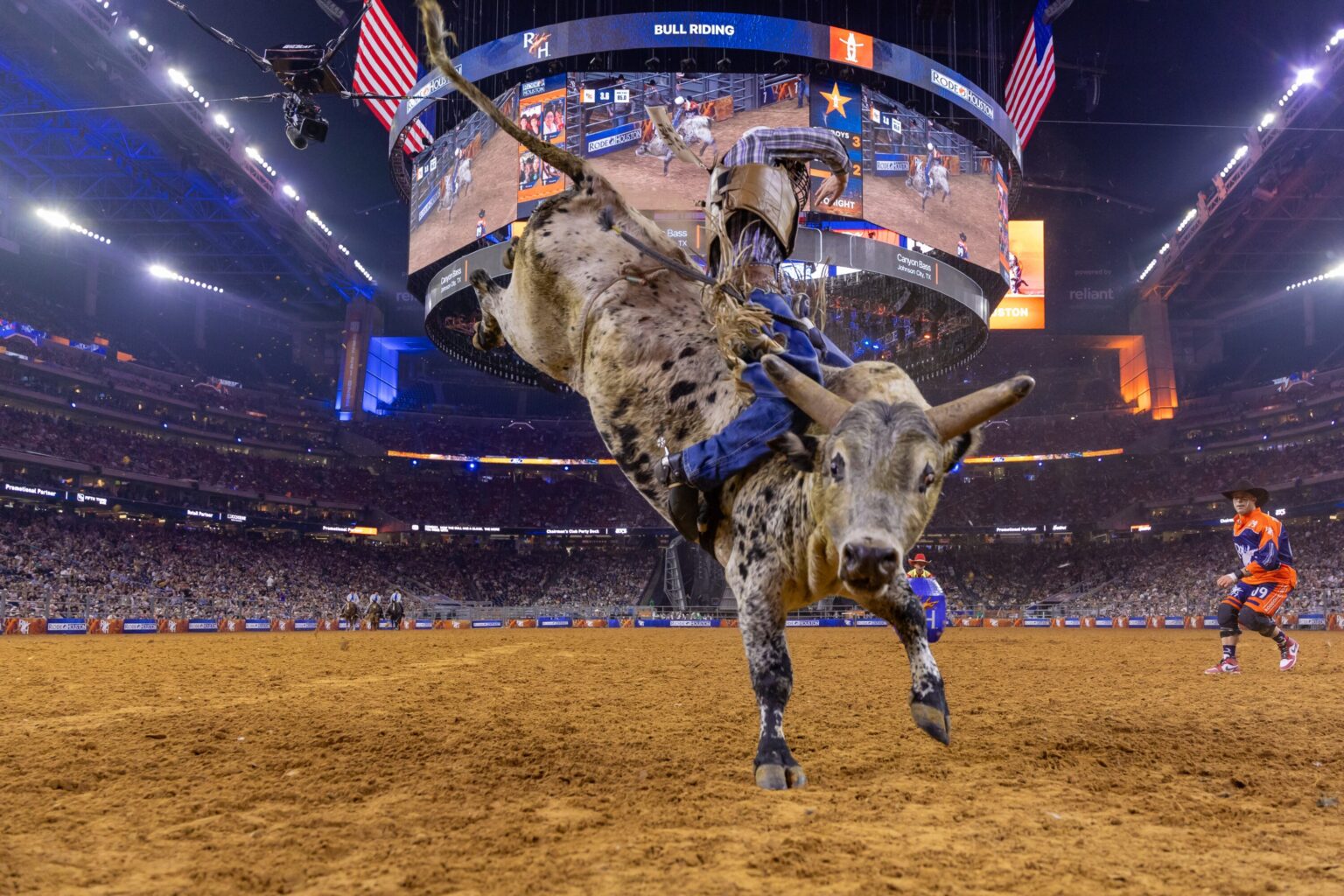Houston Livestock Show and Rodeo – Houston Public Media