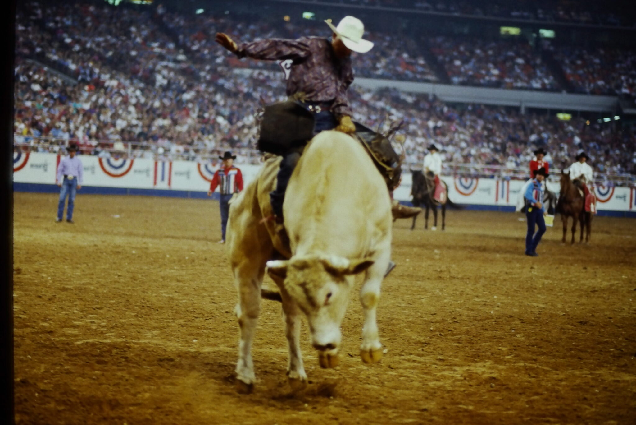 Houston Livestock Show and Rodeo – Houston Public Media