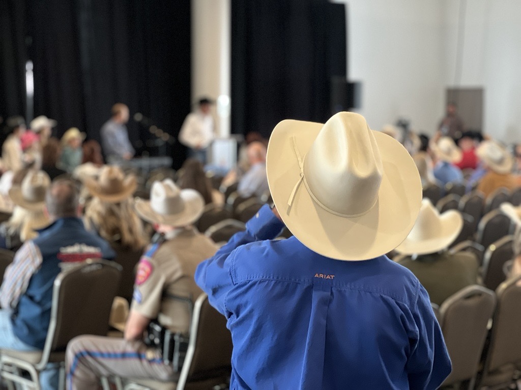 2024 Houston Rodeo generated nearly $600 million in economic activity ...