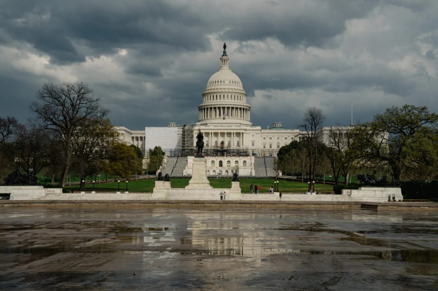 Democratic Rep. Jasmine Crockett is running for the U.S. Senate in ...