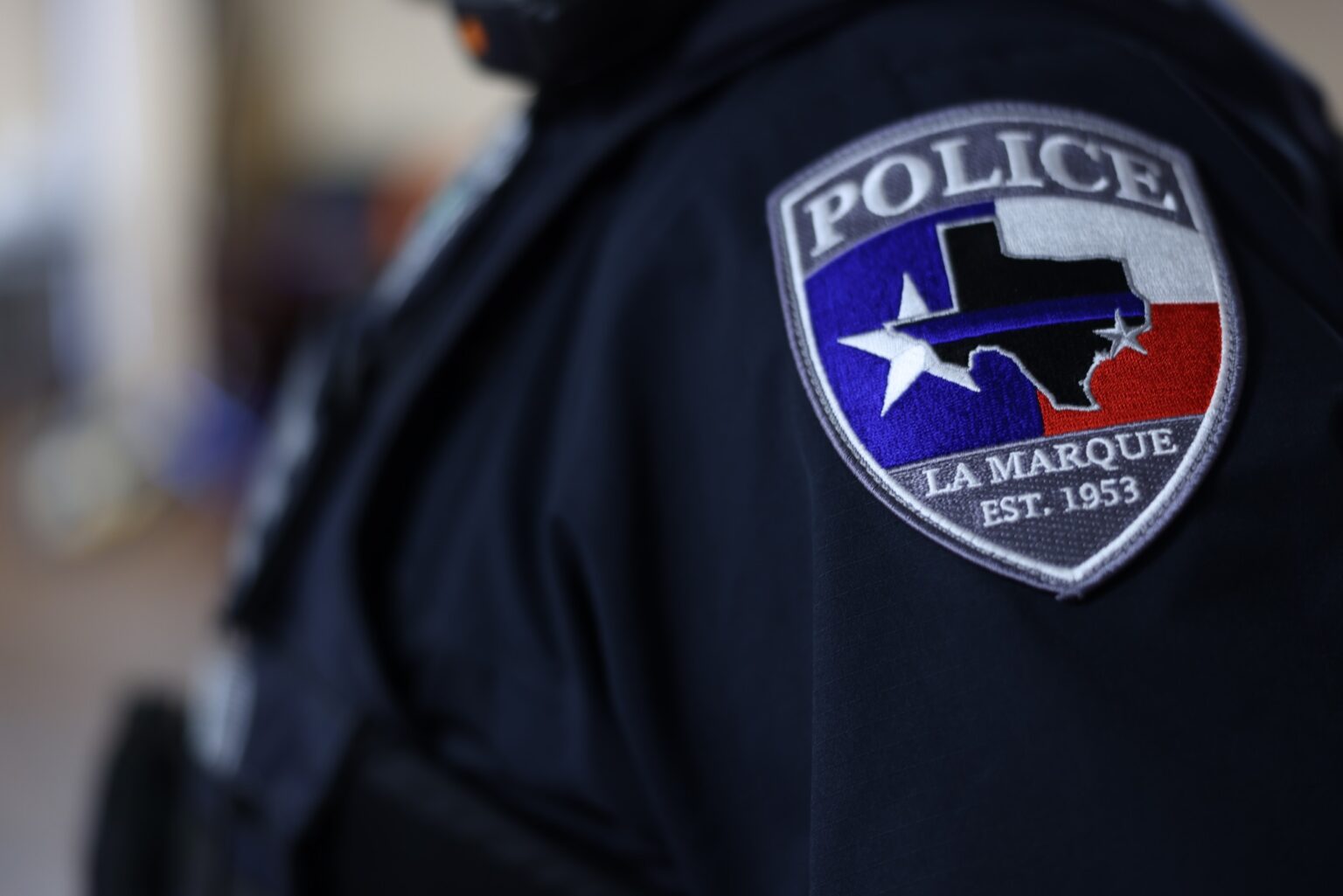 Land surveyor finds human remains in wooded Galveston County area ...