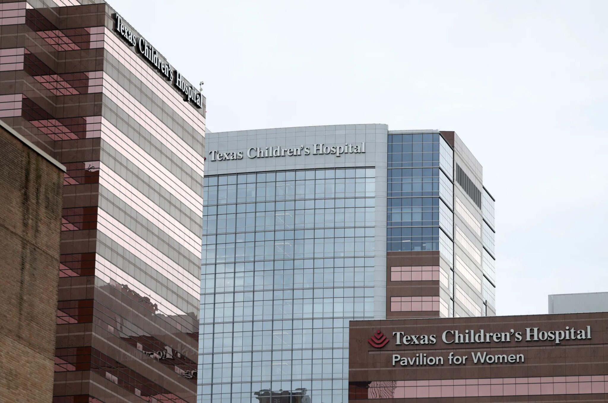brain death – Houston Public Media